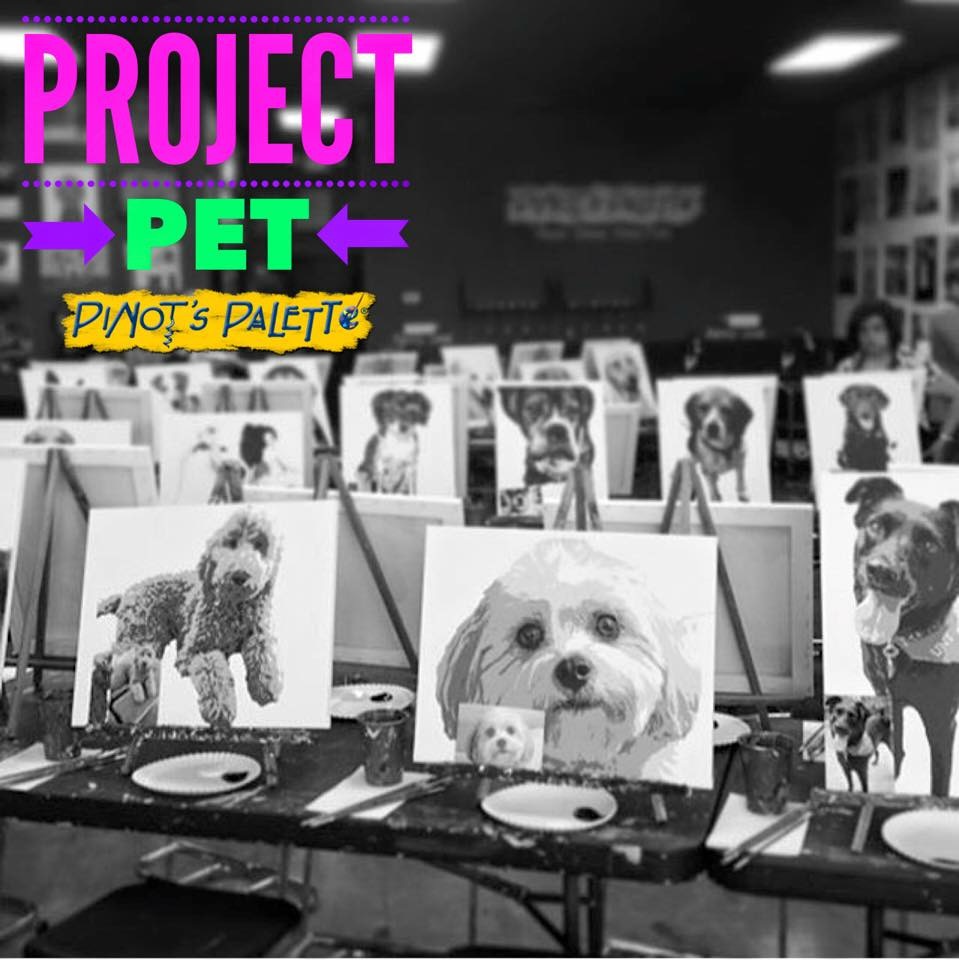 Paint and Sip in Brier Creek - Brier Creek Pinot's Palette